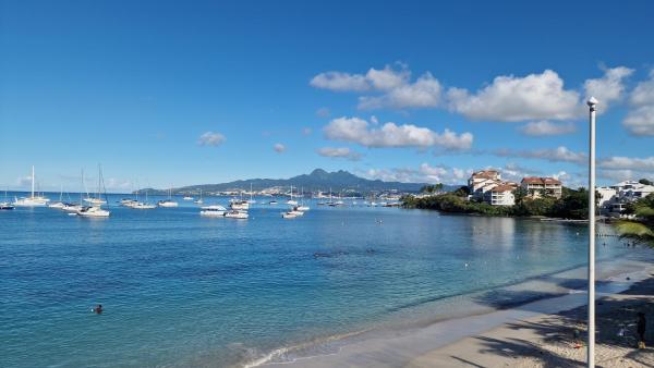 Jcm Location - Martinique