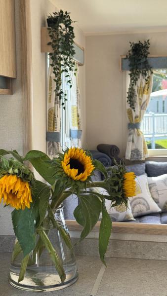 Sea And Sky Caravan Home, 3br, Sleeps 6, Central Location, Close To Main Facilities - Musselburgh