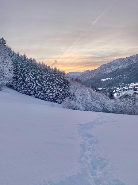 Chalet La Cabane D'ernestine - Le Grand-Bornand