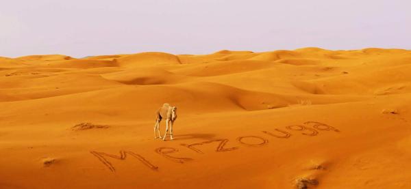 Visit Morocco Africa - Morocco