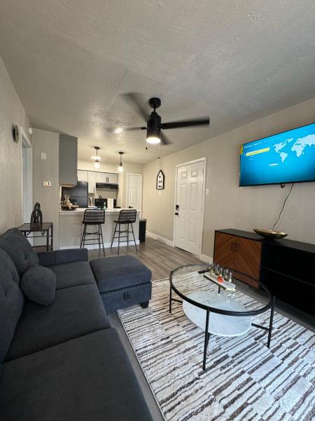 L1 Lovely Emily Apt Dallas M13 - Richardson, TX