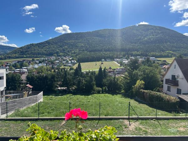 Ferienwohnung Holzer Enzenreith - Semmering