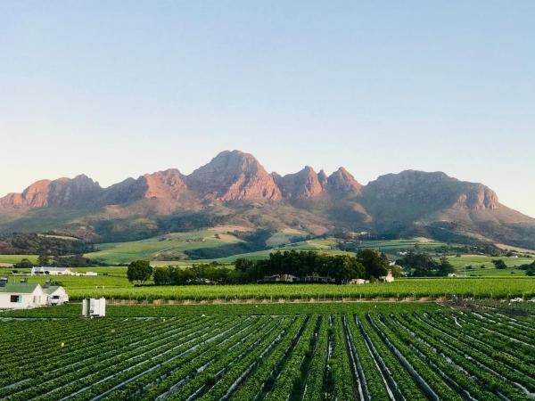 Naby-my Stellenbosch Cottage - Stellenbosch