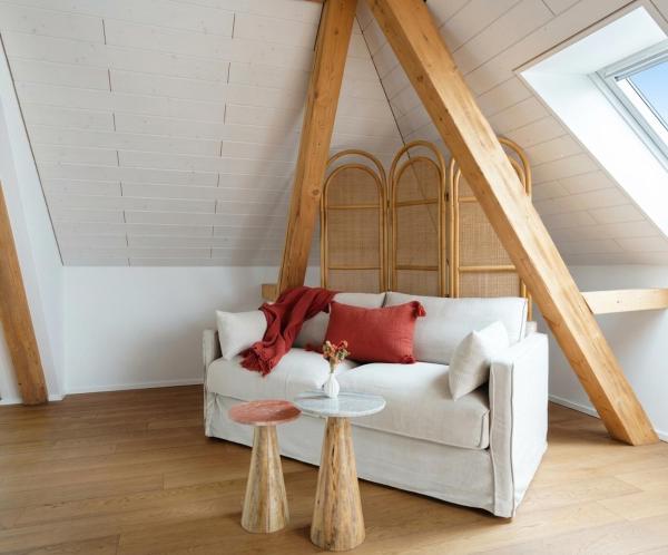 Gemütliches Boutique Loft Mit Kamin - Canton de Lucerne