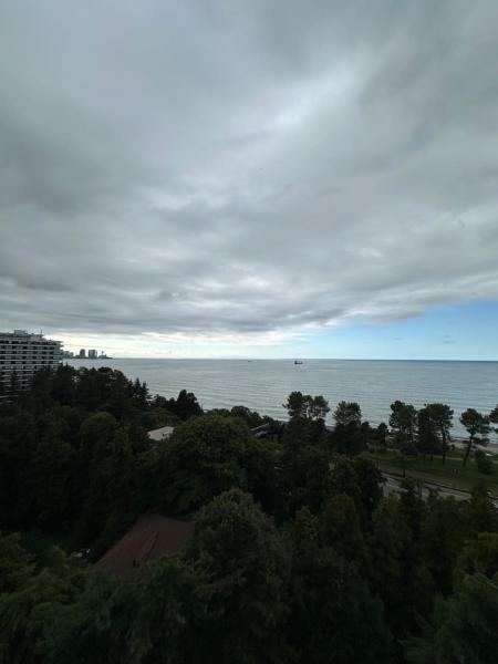Sea And Mountain View Batumi Panoramic Apartment - Batumi