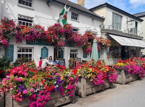 The Britannia Inn Garden Rooms - Crickhowell