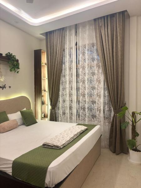 Nest & Screen - Lucknow