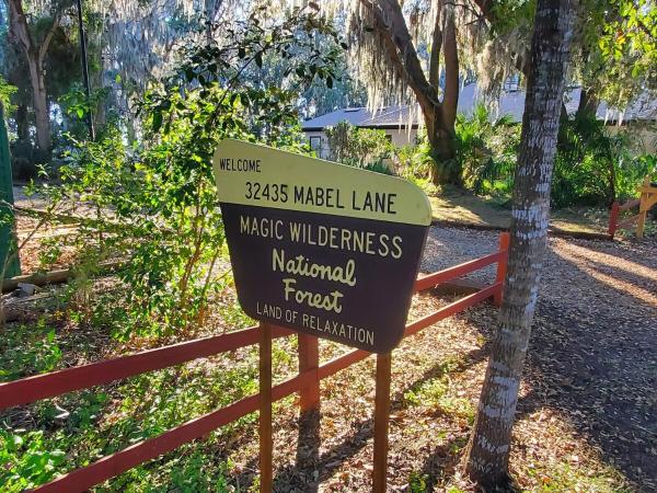 Lakefront Magic Wilderness Cabin - Leesburg, FL