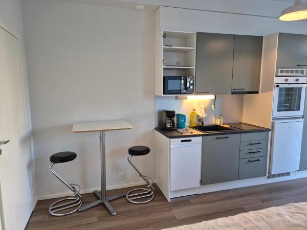 Brand New Studio 24m3 - Kauniainen