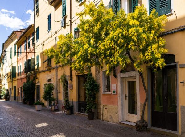 Affittacamere La Mimosa - Sarzana