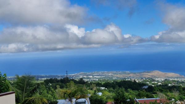 L'orchidée - La Réunion
