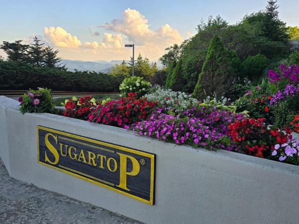 Charming Ever Green Condo With Resort Amenities - North Carolina