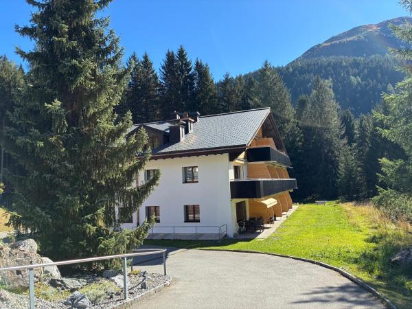 Ferienwohnung Haus Ginseng - Davos