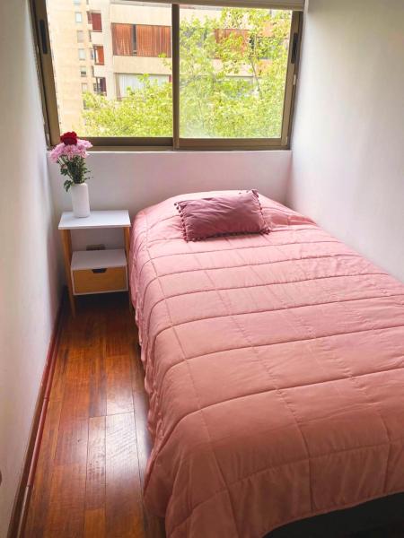 Comoda Habitacion En Centro De ÑUñoa - Puente Alto