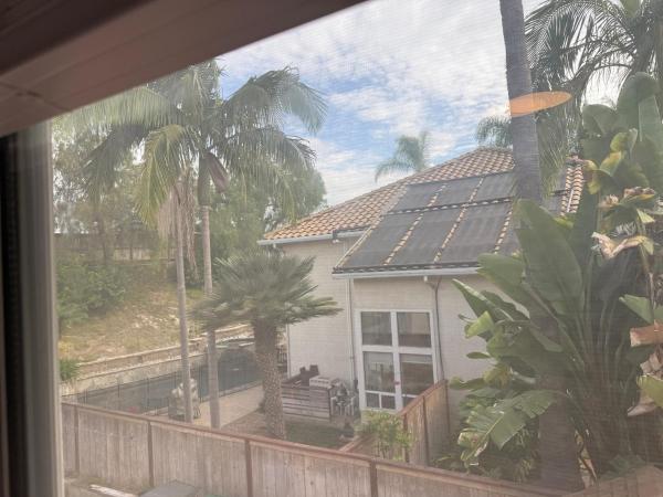 Cozy Private Room With Palm Views In Oceanside - Vista, CA