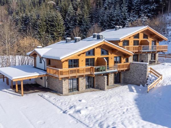 Tauernlodge Eben C1 - Flachau