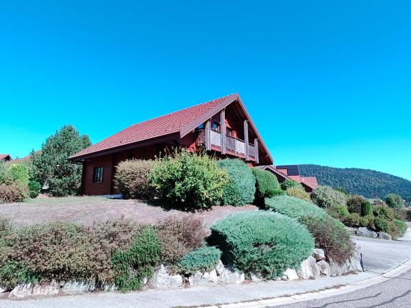 Chalet Des Musiciens - Gérardmer, Vue Montagne - Gérardmer