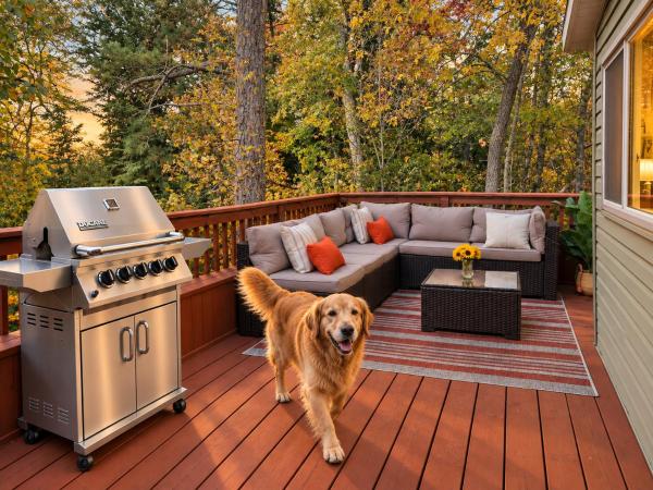 Cozy Pet-friendly Home Near Hiking Trails And Lake Vermilion - Tower, MN
