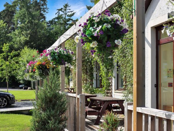 Family Lodge No 5 - Uk45694 - Pitlochry