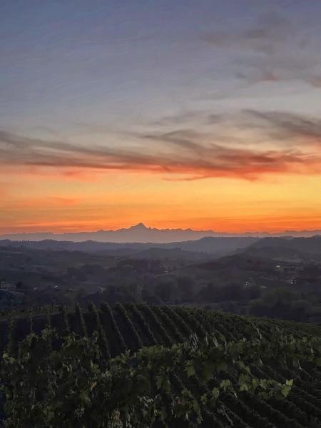 Agriturismo Tenuta Ena - Asti