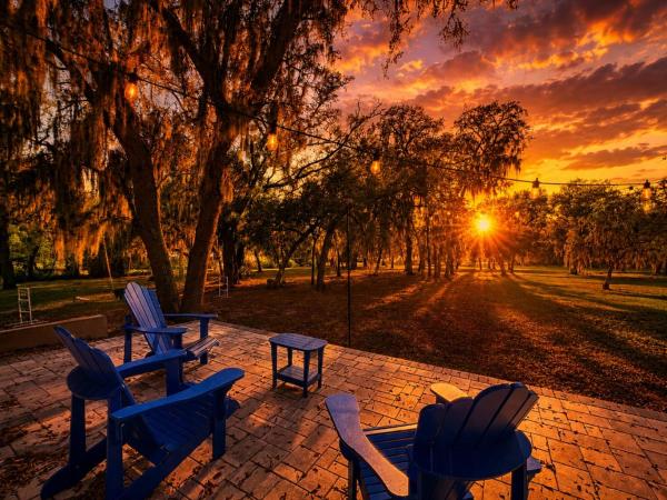 Lake Louisa Retreat - Your Clermont Retreat. - Winter Garden, FL