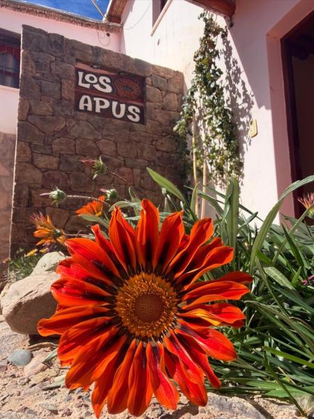 Posada Los Apus Tilcara - Jujuy