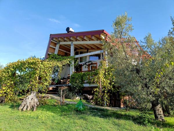 La Casa Tra Gli Ulivi - Cottage In Legno - Casalbordino