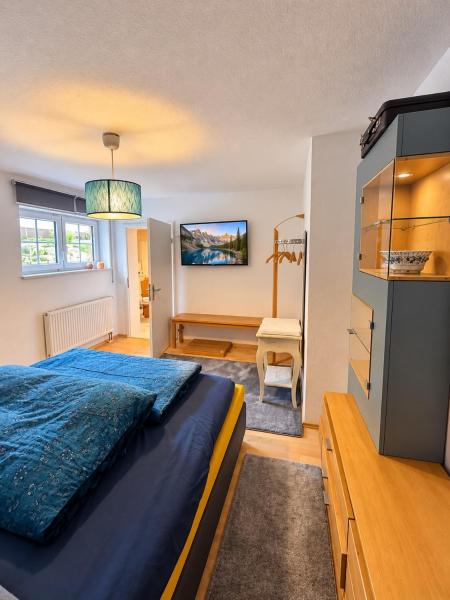 Helles Apartment In Ruhiger Lage Mit Parkplatz Und Wifi, Souterrain - Zwickau