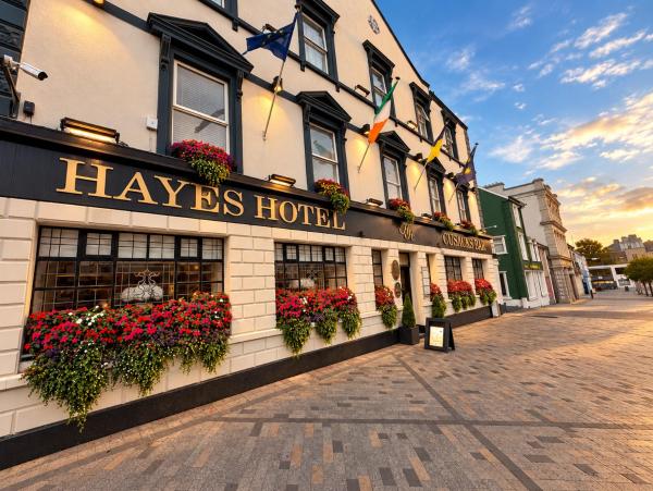 Hayes Hotel - Leinster