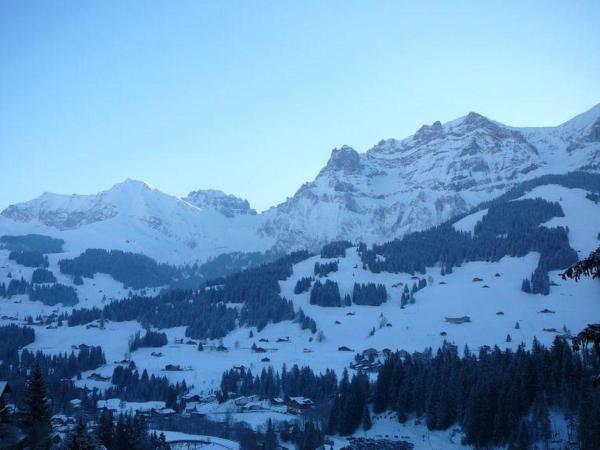 Apartment Adlerhorst Appartement-fewo- Dusche- Wc- 2 Schlafräume 3-zimmerwohnung By Interhome - Adelboden