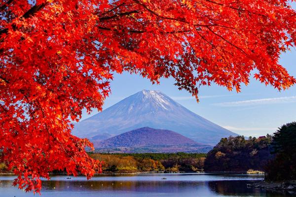 Fuji Gran Villa - Toki - - Japón
