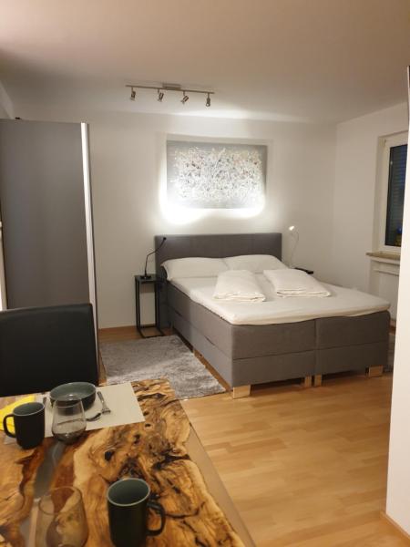 Perfect For Traveling To Lake Constance And Bregenz Forest - Bregenz