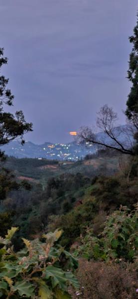 Mount Shola - Kerala