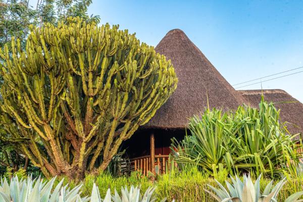 Lake Munyanyange Caves Lodge - Uganda
