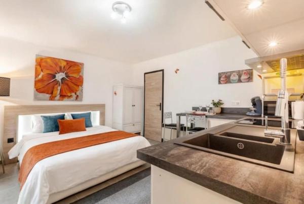 Fully Equipped Studio - Ain