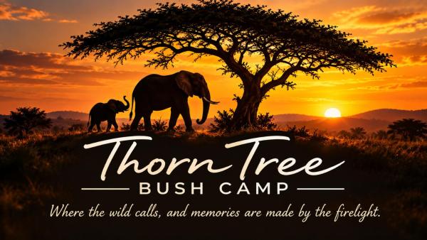 Thorn Tree Bush Camp - South Africa