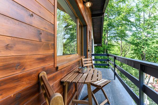Hublou Home - Entire Floor In Forest Villa - Sinaia