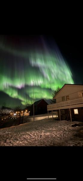 Arctic Serenity - Tromsø