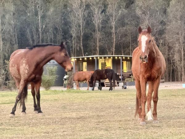 Country Entertainer Off Grid Eco Cabin - Maitland