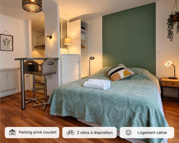 T1 Bis Rénové Grenoble Et Parking - Grenoble