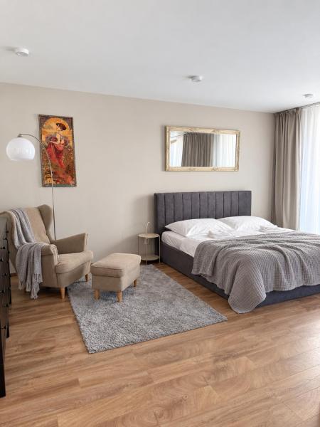 Veleslaveenka - Spacious Apartment In Pilsen Old Town - Pilsen