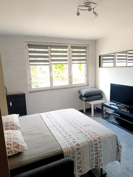 Zen T1, 400m Centre Et Lycée Bayen, 1400m Gare Tout Confort - Département Marne