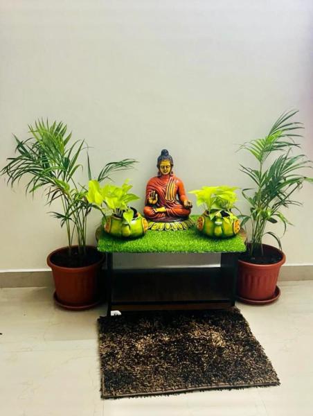 Vibro Stay - Andhra Pradesh