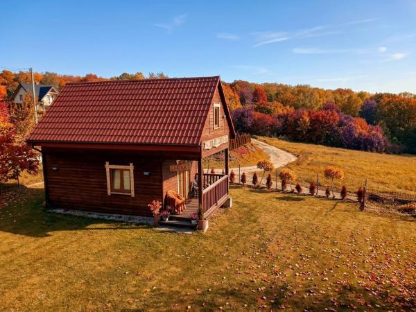Chatka Zuzia W Bieszczadach Z Jacuzzi 517-665-624 - Solina