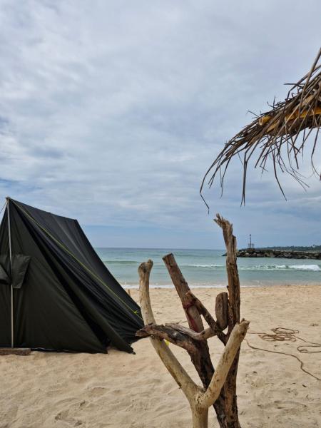 The Palm & Pitch - Srí Lanka