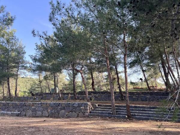 Pine Forest Camping In Kobayat - 레바논