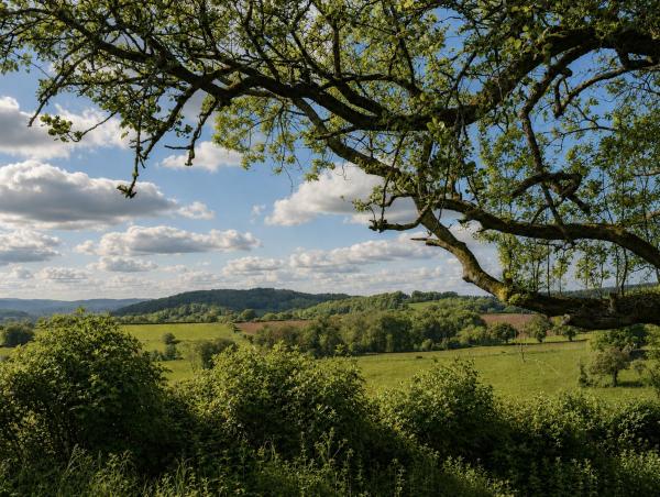 Caplor Glamping & Lodges - West Midlands