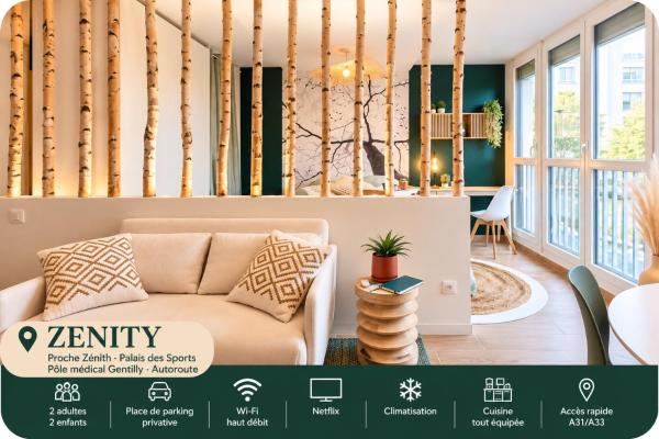 Le Zenity Avec Parking Privé, Netflix Et Disney Plus, Proche Nancy Gentilly - Laxou