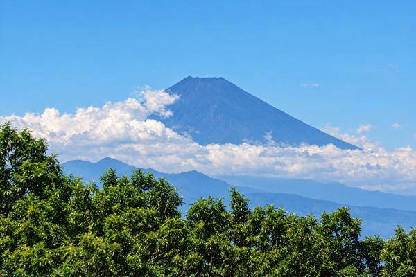#53 櫟 -Kunugi- 富士山ビュー ペットOk - Izu