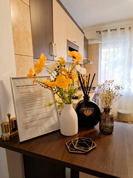 Apartament Florina - Ramnicu Valcea